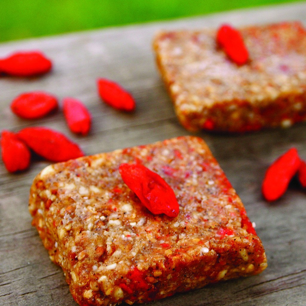 GO! GO! Goji Lemon Bars – Wilderness Poets